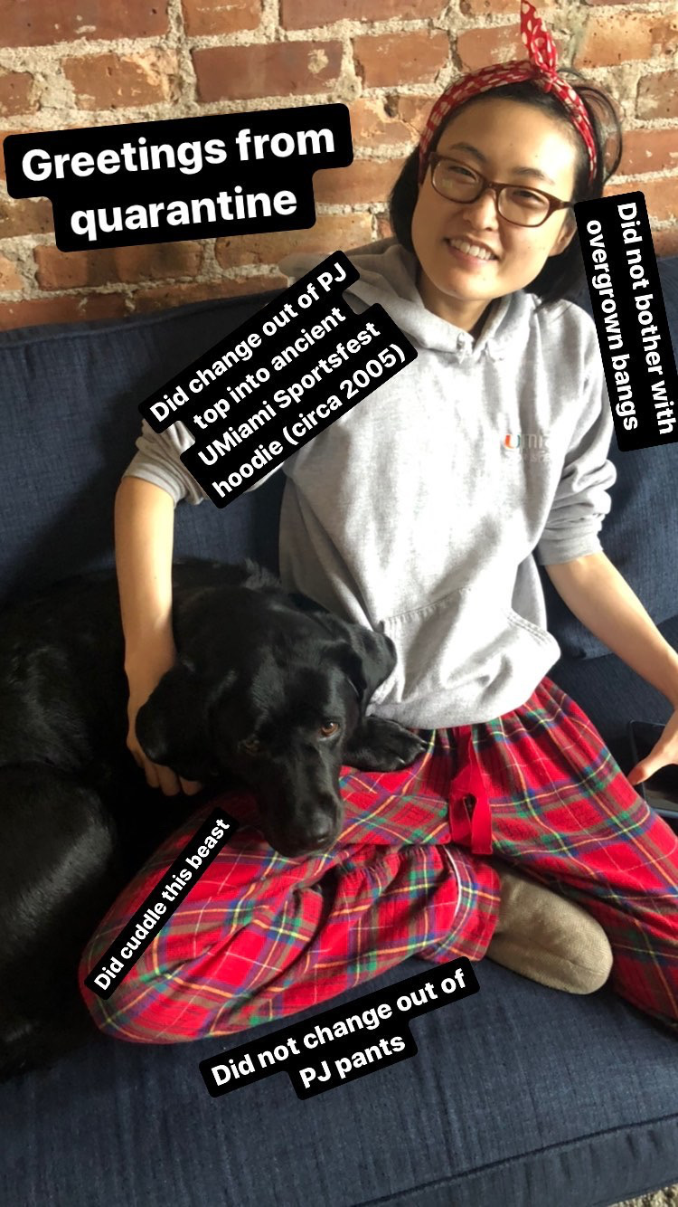 Journalist Hannah Bae’s Dog Ramona Is the Star of Her Lockdown | STET